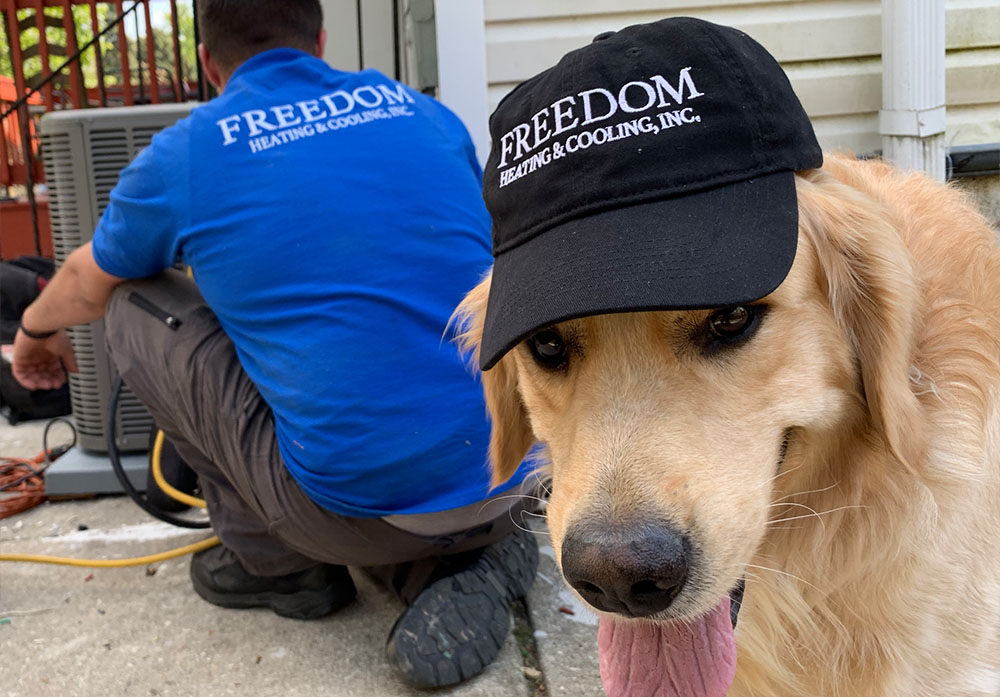 Cool Review About Freedom Heating Cooling